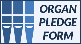 The Organ Project | St. Andrew's Episcopal Church